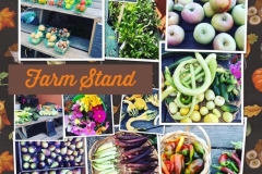 Proctor Terrace Flower and Veggie-table Garden | Proctor Terrace ...