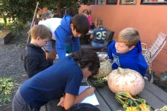Proctor Terrace Flower and Veggie-table Garden | Proctor Terrace ...