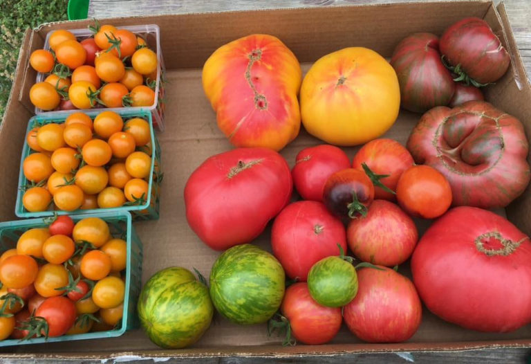 Proctor Terrace Flower and Veggie-table Garden | Proctor Terrace ...